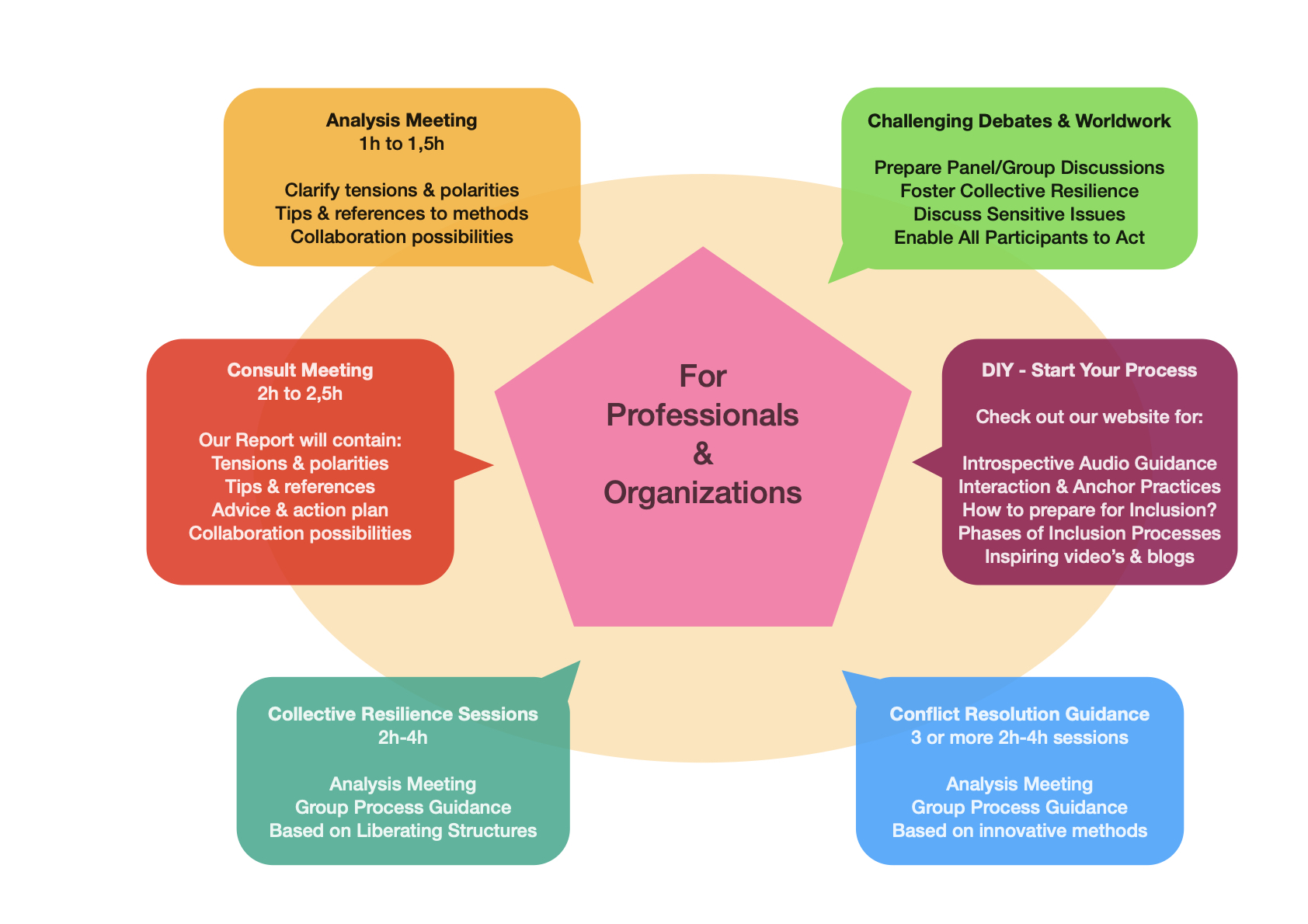 Voor Professionals – Resilience Movement